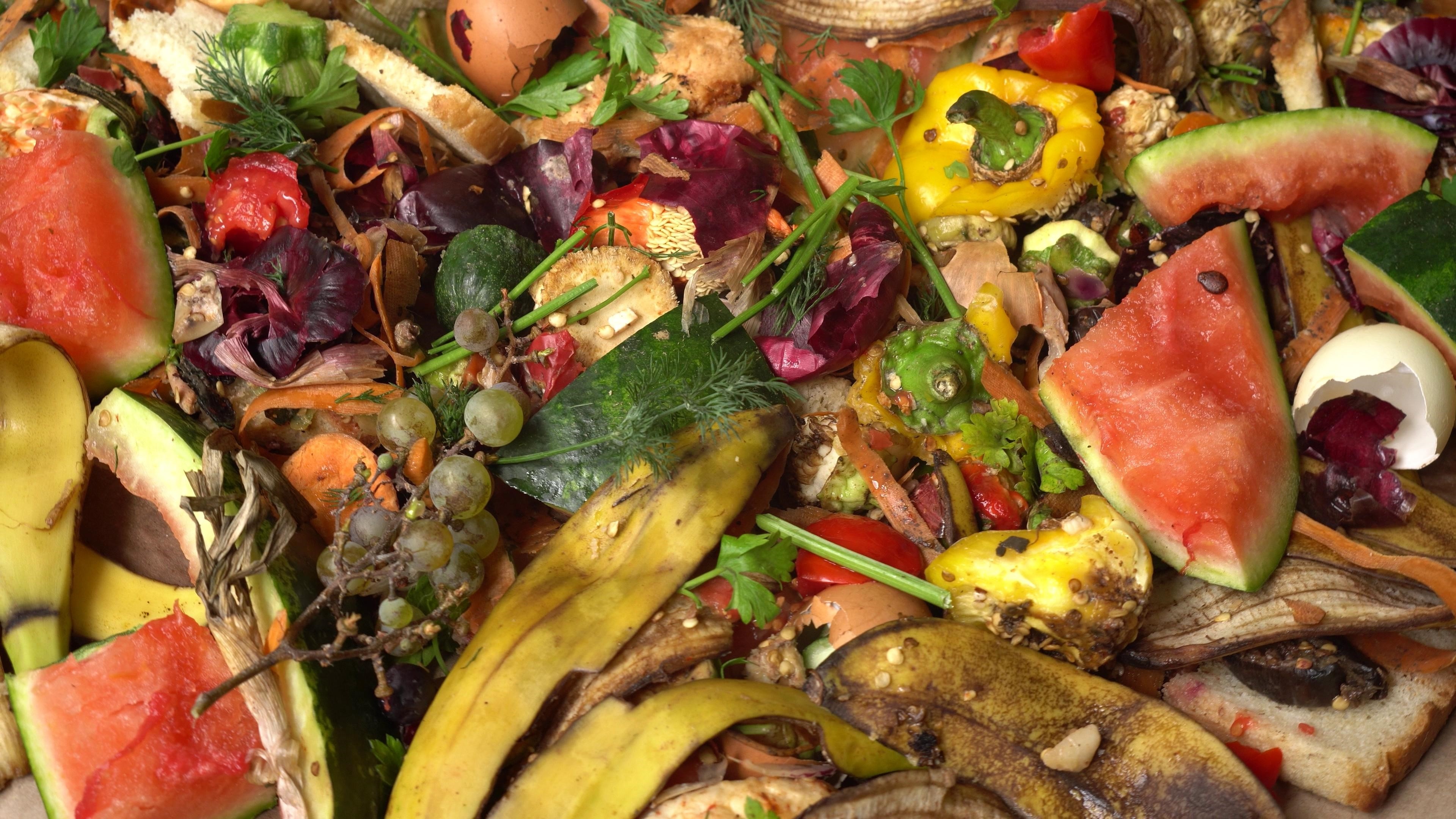 Food Waste to Biofuels - Nordic energy research