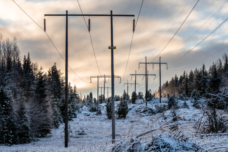 Nordic Energy Outlooks – Energy Strategy Reviews: The REPowerEU policy ...