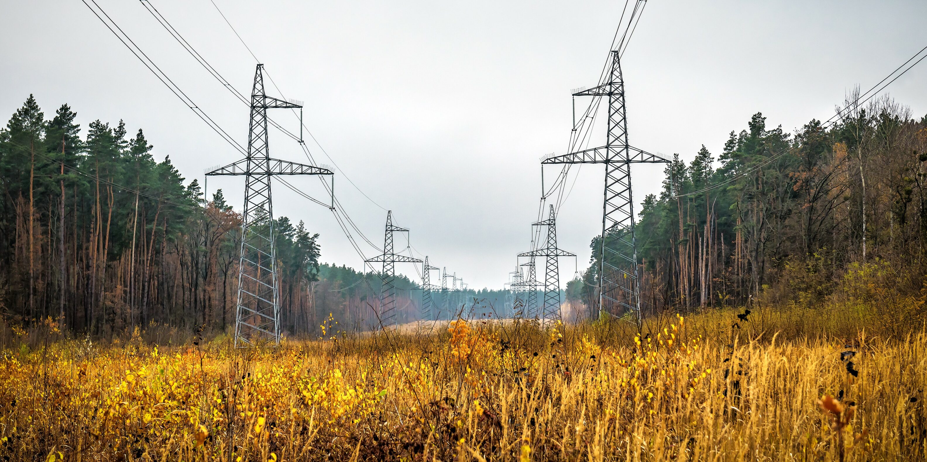 Nordic energy cooperation must move to operational readiness, new ...