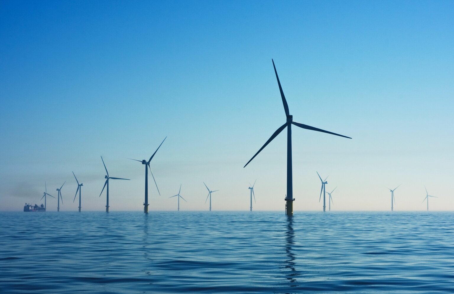 Examples to Accommodate Biodiversity in Nordic Offshore Wind Projects ...